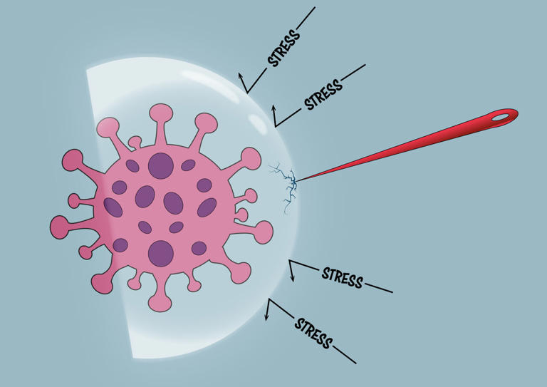 Cancer cells' stress shield cracked by compound that binds in one place ...