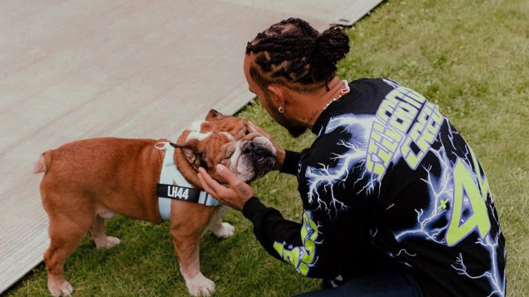 Lewis Hamilton confirms the death of his dog Roscoe with an emotional ...