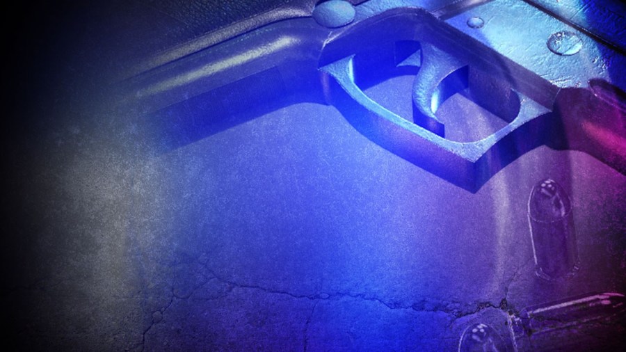 Greene County man faces felony for stolen gun in car