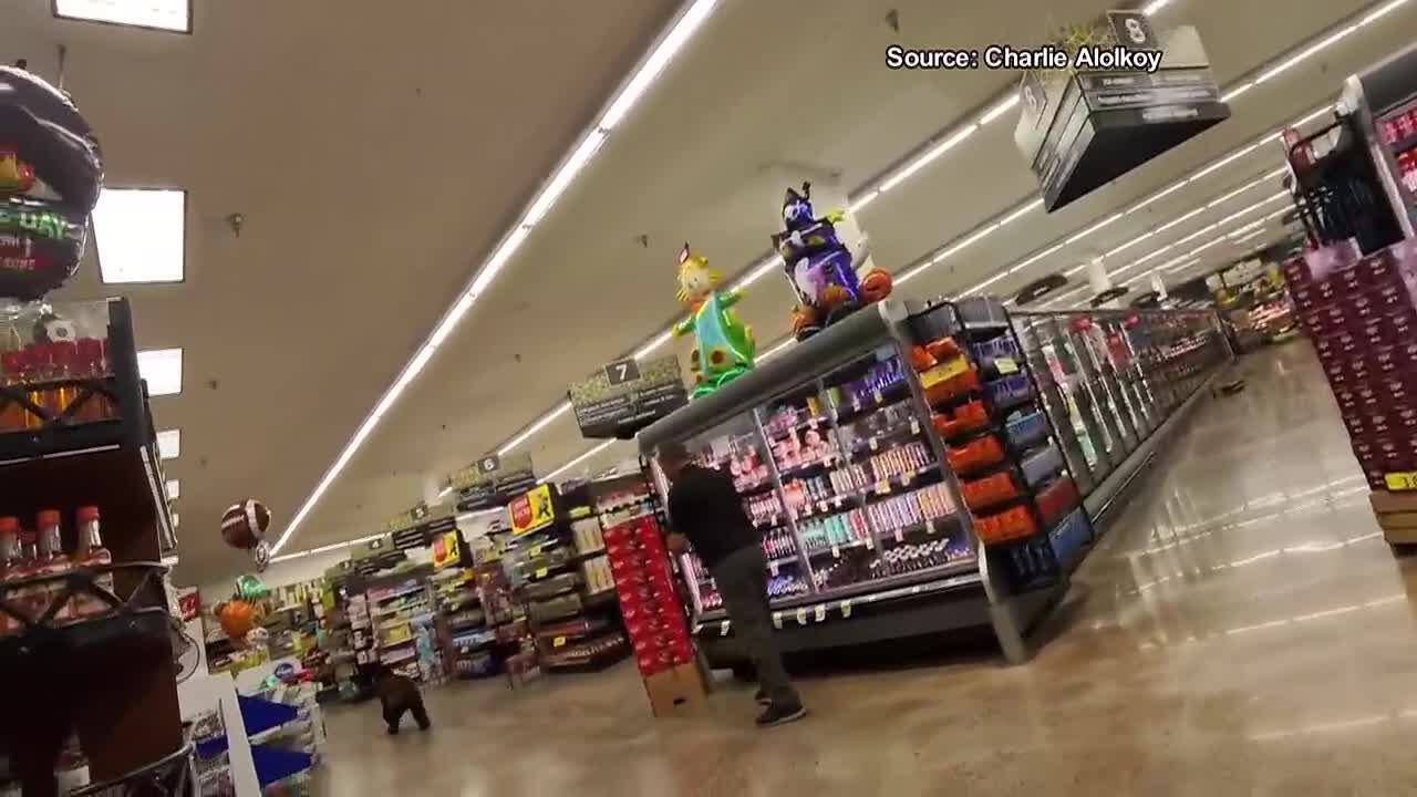 WATCH: Bear cub walks into grocery store in Oro Valley