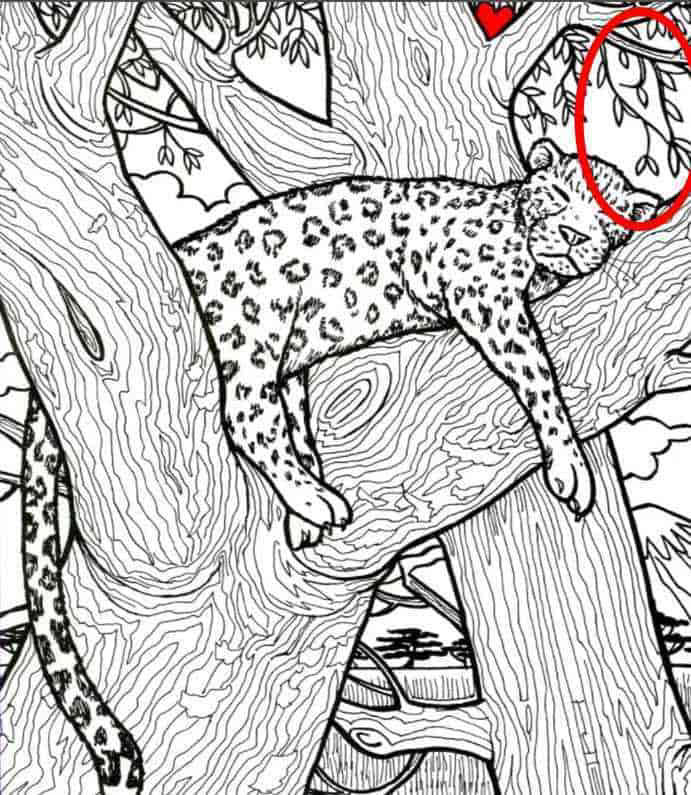 Only 3 out of 100 can use their Ultra-HD Vision to find the Hidden Fish ...