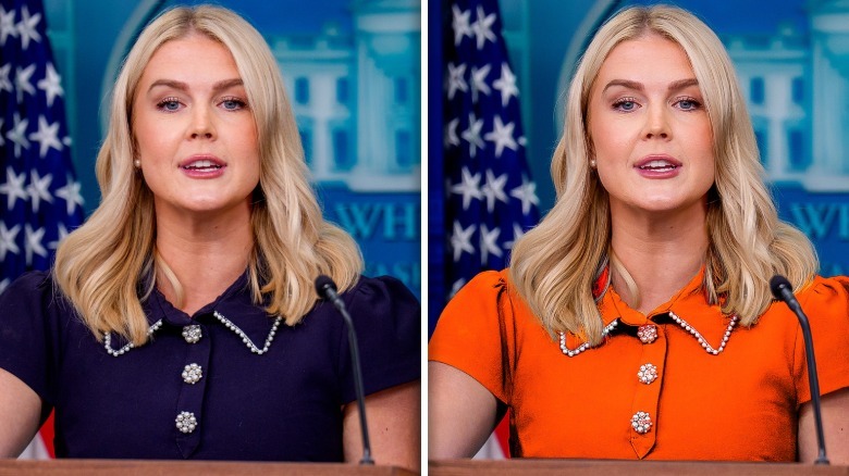 We Prove Why Karoline Leavitt Should Follow Our Expert's Advice & Leave ...