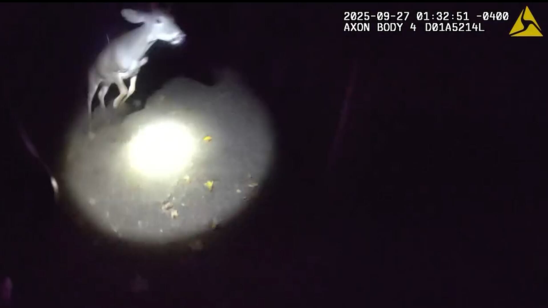 Sandy Springs officers searching for car break-in suspects got an ...