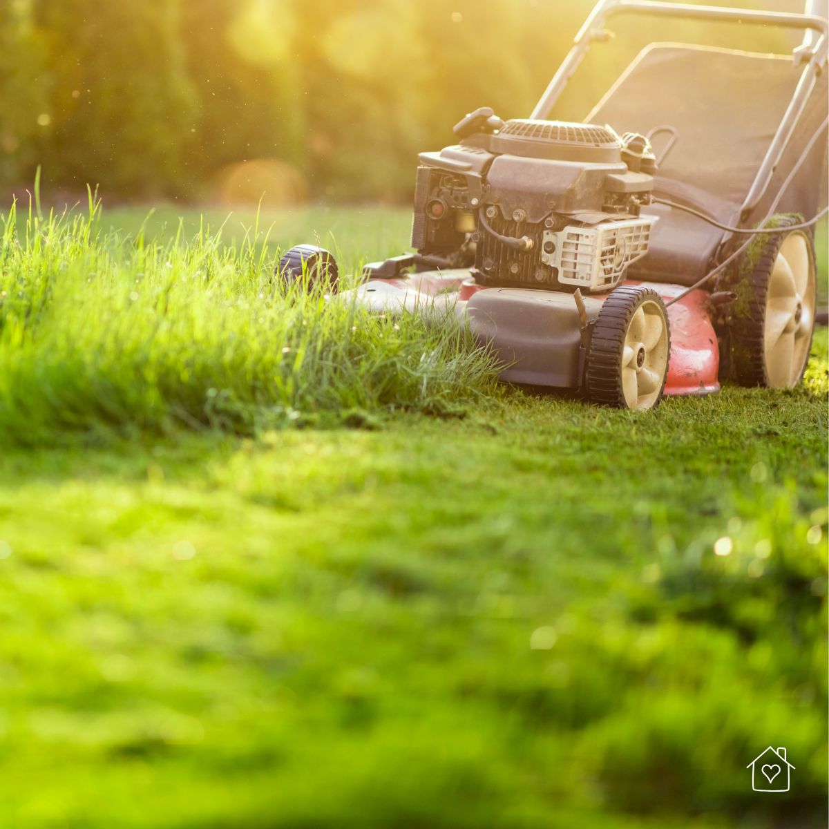 What lawn mower blades do the pros use and why?