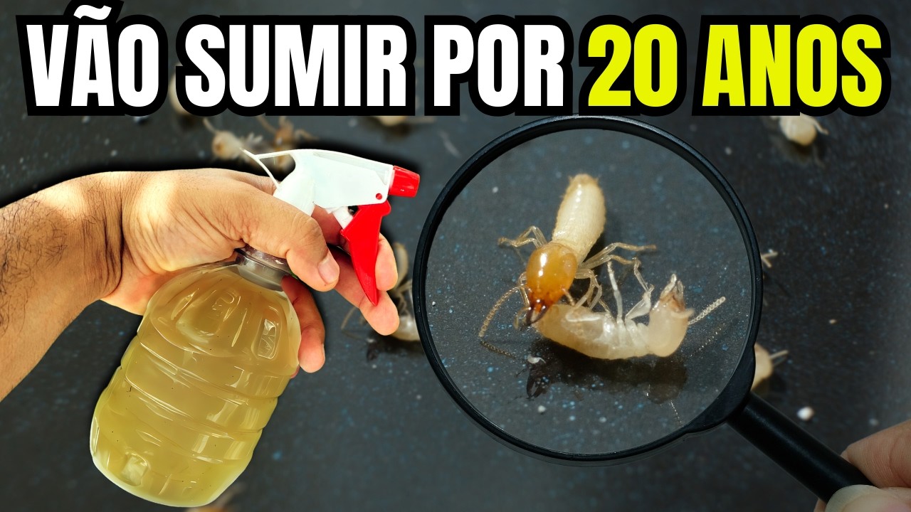 Como Matar Cupim em Apenas 1 Minuto