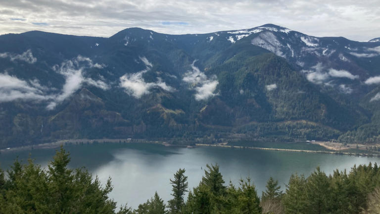 6 Peaceful Washington Parks Perfect for Spring Wildflowers to Explore ...
