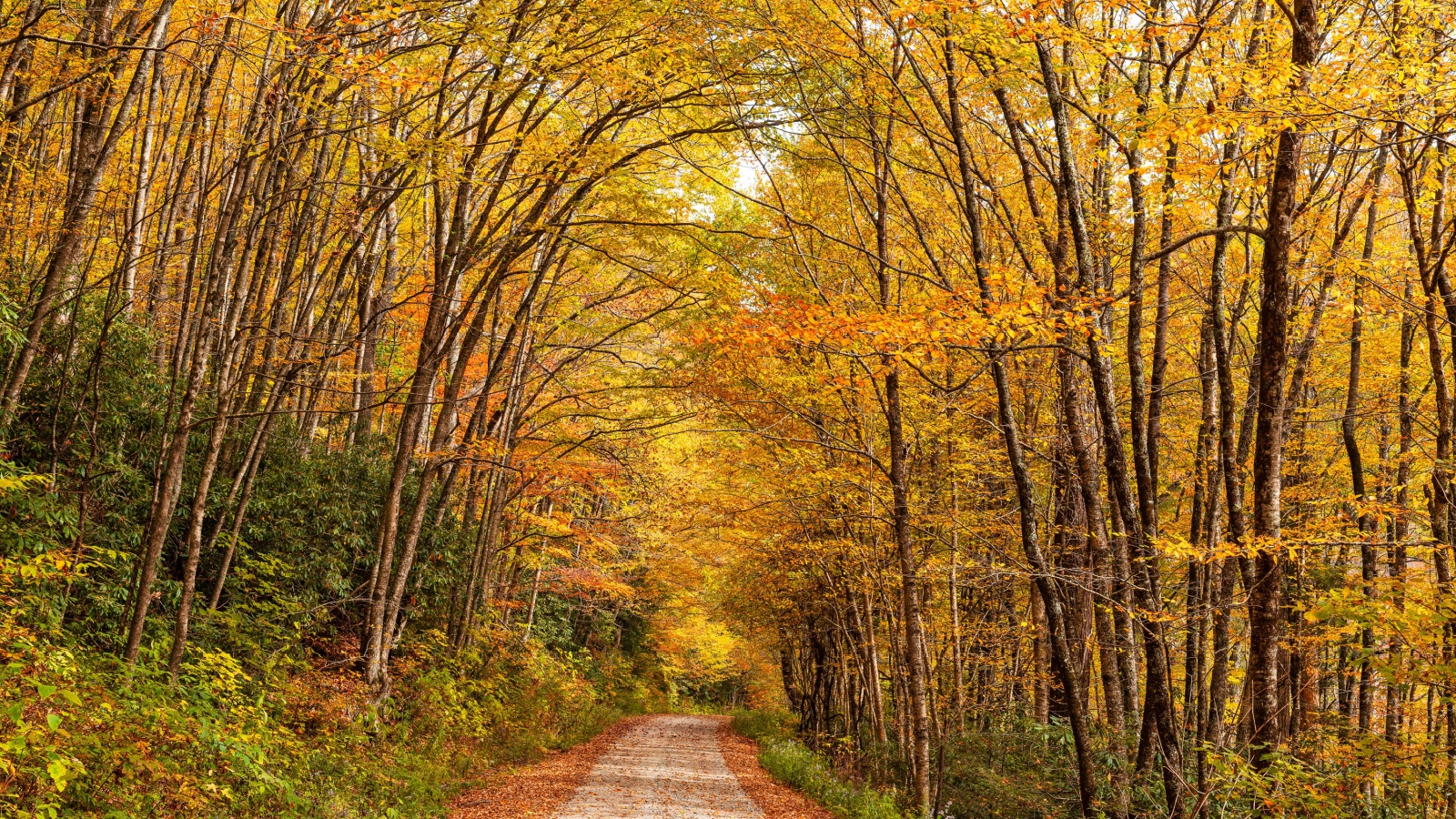 Discovering Nantahala National Forest, North Carolina