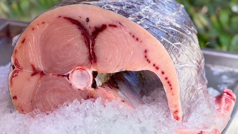 A Beginner's Guide To Swordfish