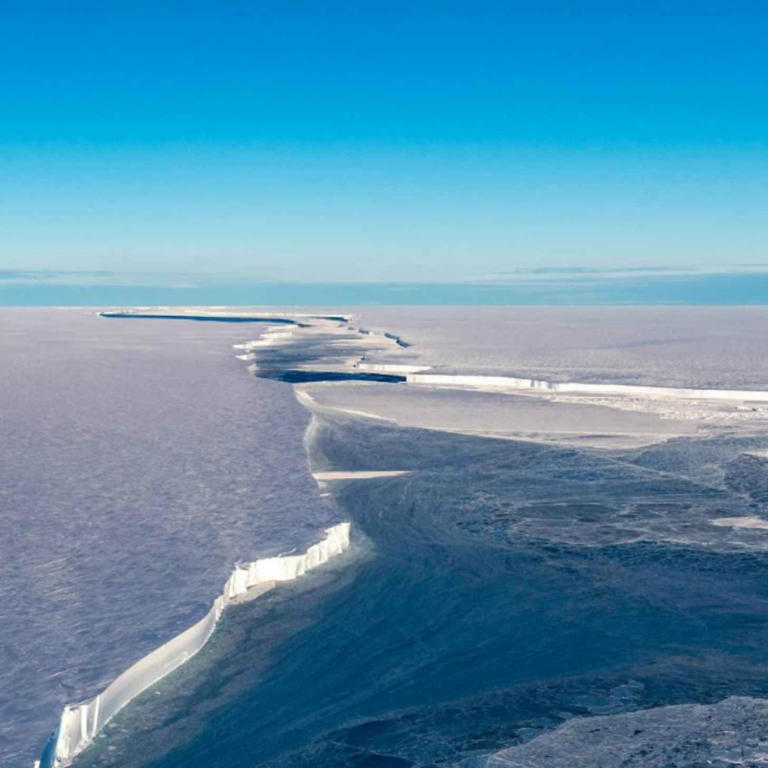 This creature found off the coast of Antarctica looks like something ...