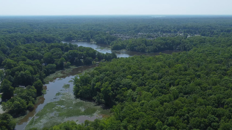 One Of Virginia's Best Small Towns For Retirement Is Surrounded By ...