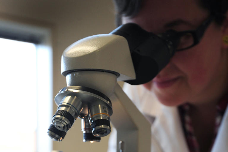 First ovarian cancer treatment in decades given green light for NHS