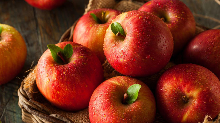Which State is Known as the Apple State of India?