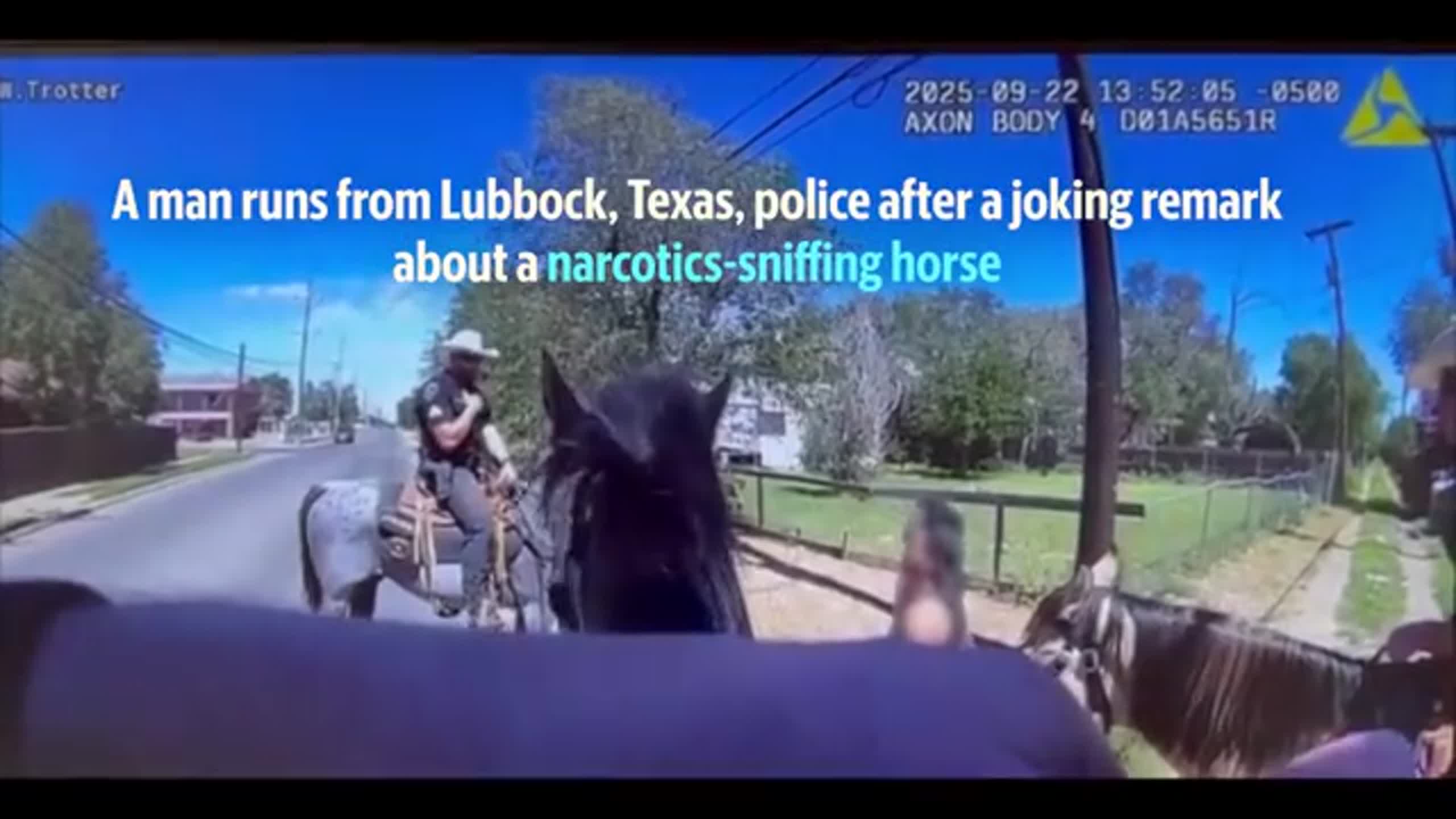 See ending: Man bolts as Texas mounted cops joke about narcotics ...