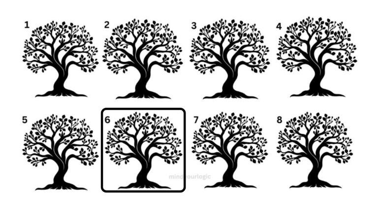 Only those with sharp eyes and a creative mind can spot the odd tree in ...