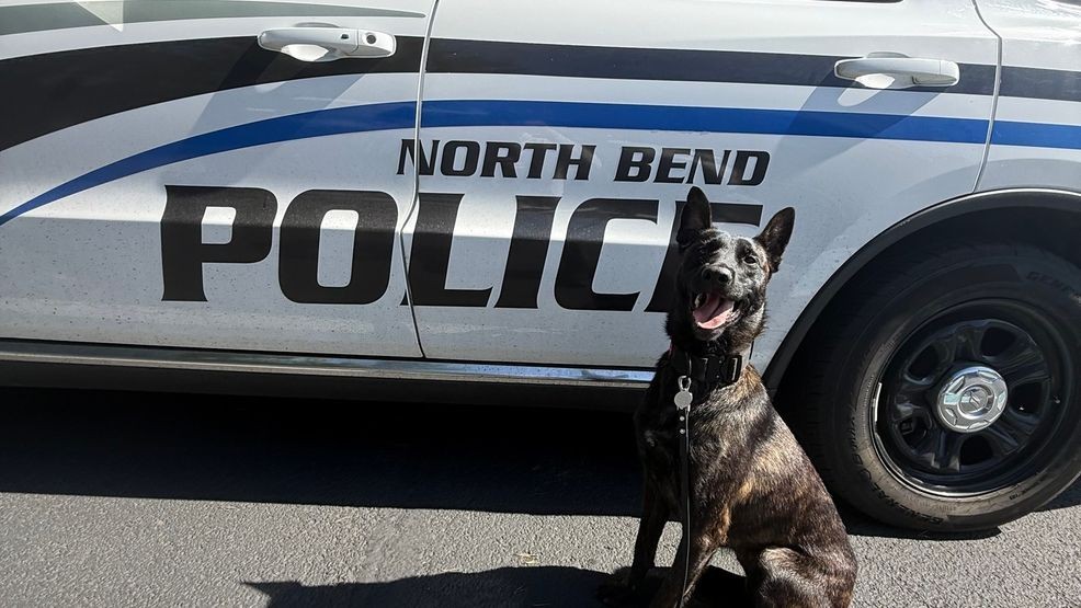 North Bend police K9 Athena earns state narcotics-detection certification