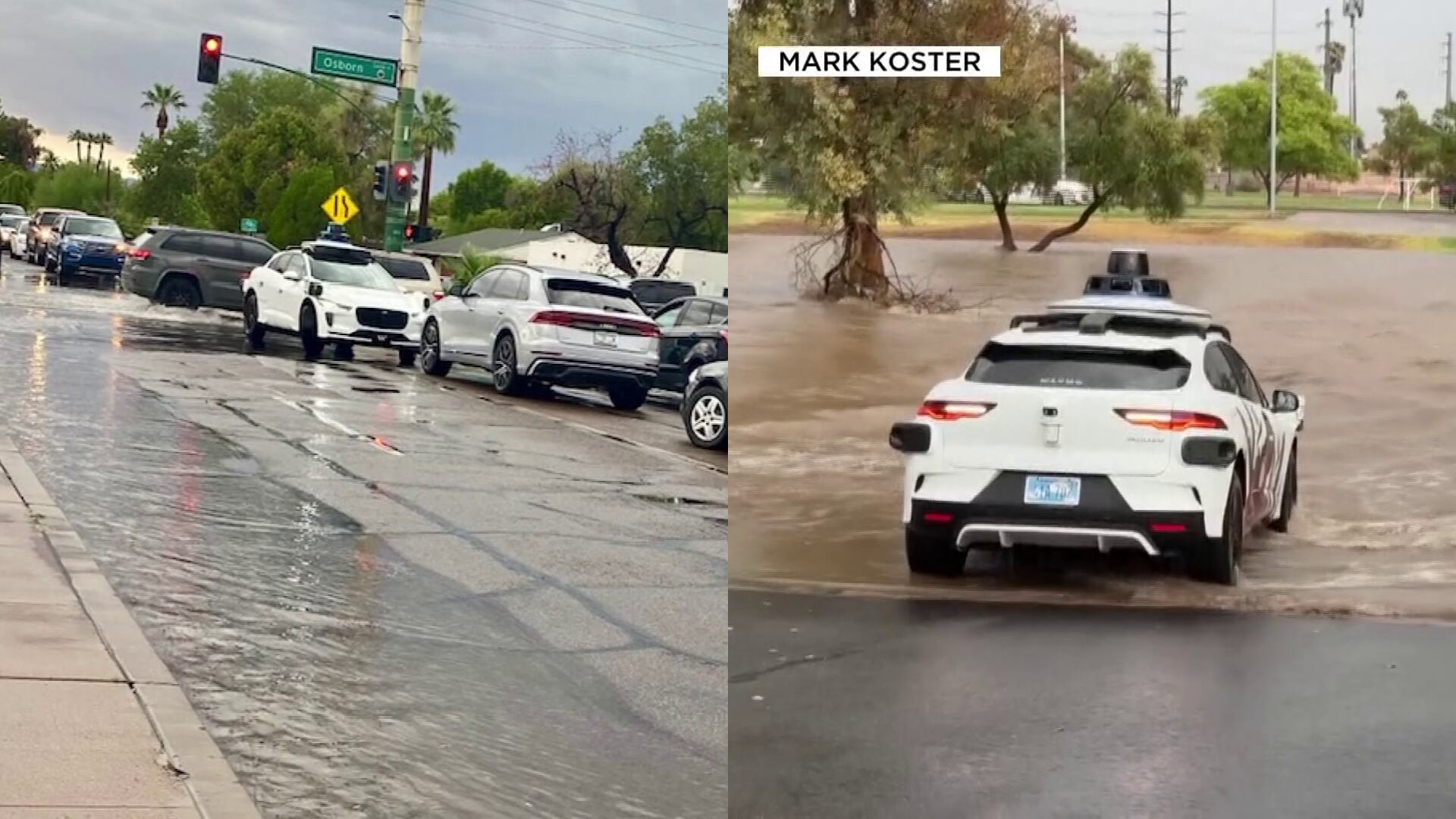 Social media buzzing about stranded Waymos in metro Phoenix during storm