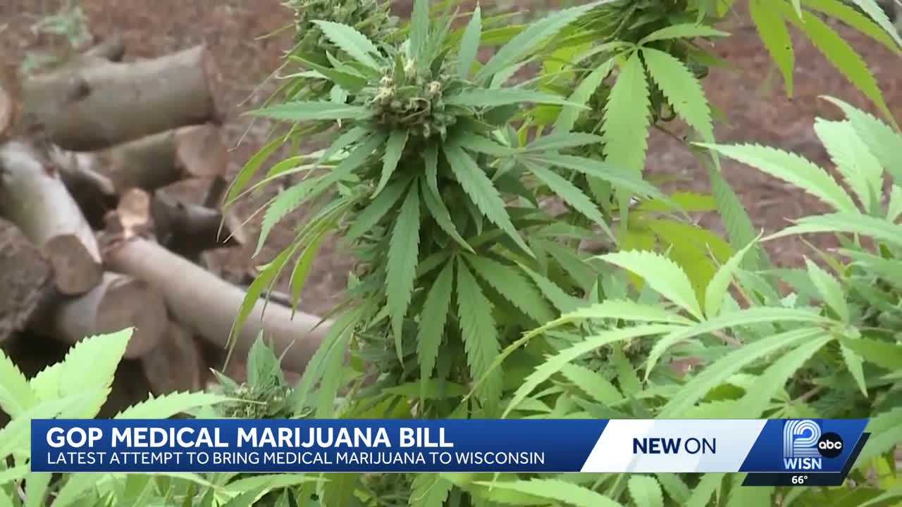 Wisconsin GOP lawmakers introduce bill to legalize medical marijuana