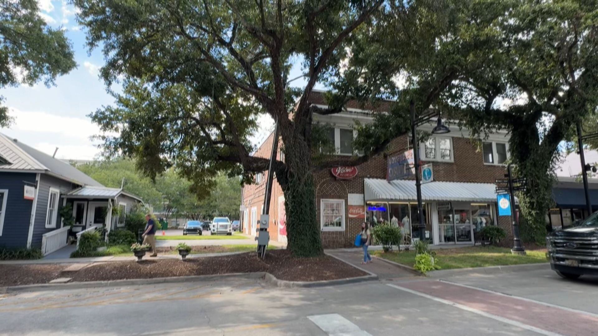 Ocean Springs officials approve removal of Lovelace oak tree due to ...