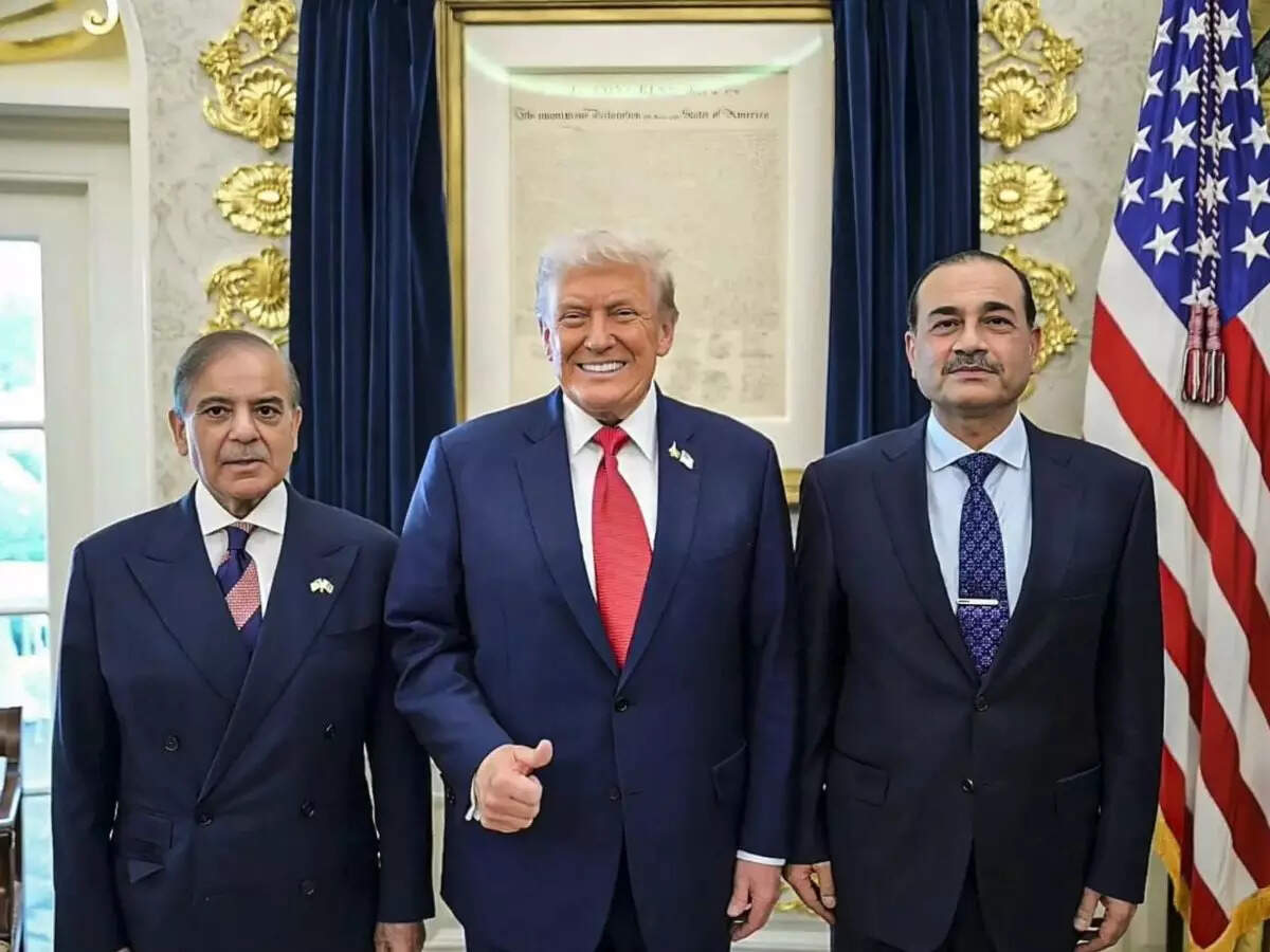 Trump says Pak PM, field marshal back his plan to end Gaza conflict ...