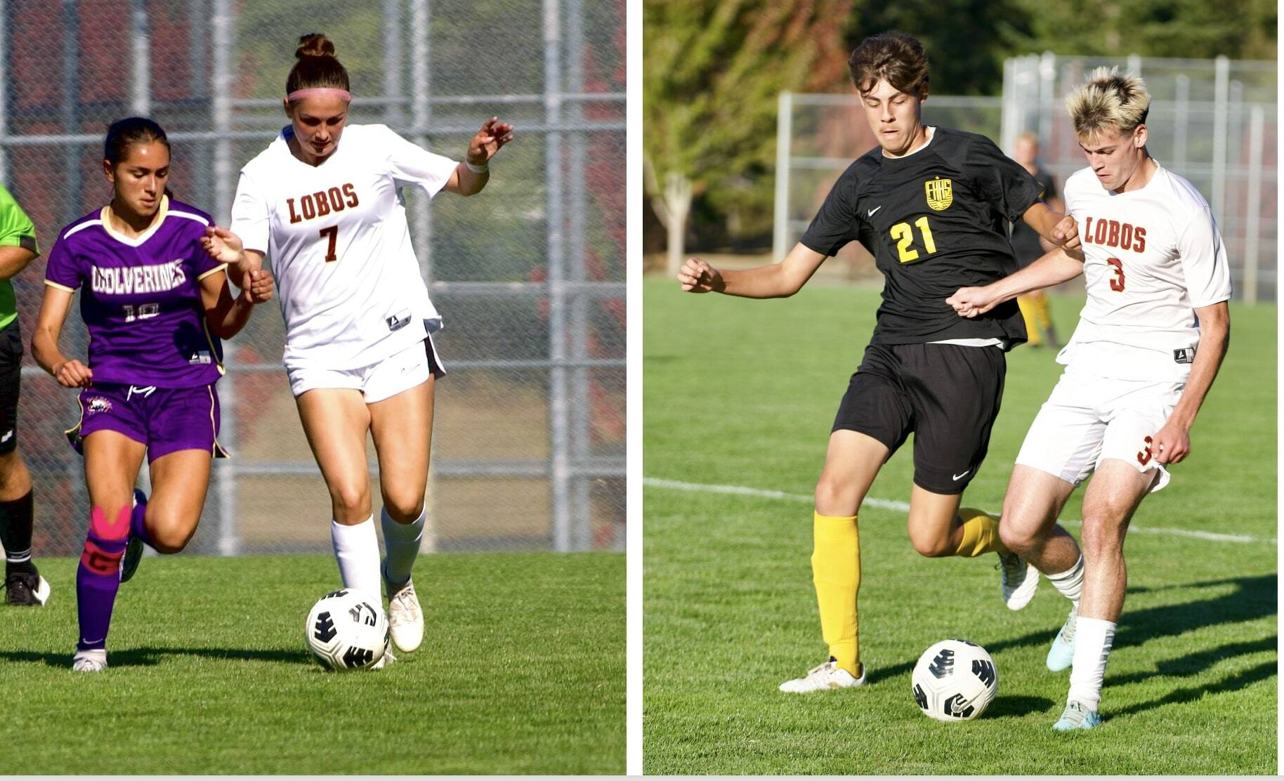 Strong start for Lobos soccer