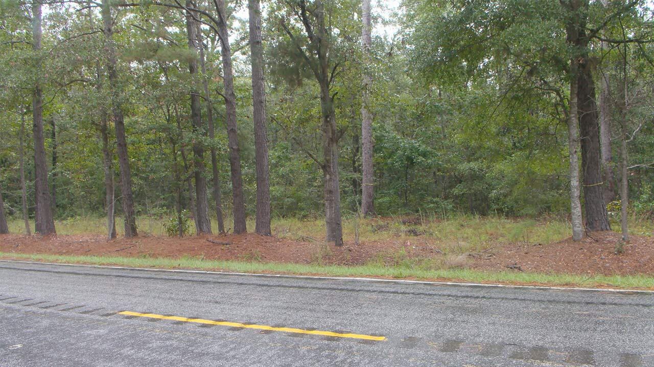 SC environmental agency holds public hearing on Awendaw residential ...