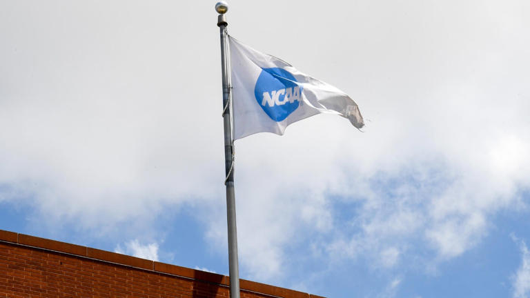 NCAA approves change to new single transfer portal window: How will it ...