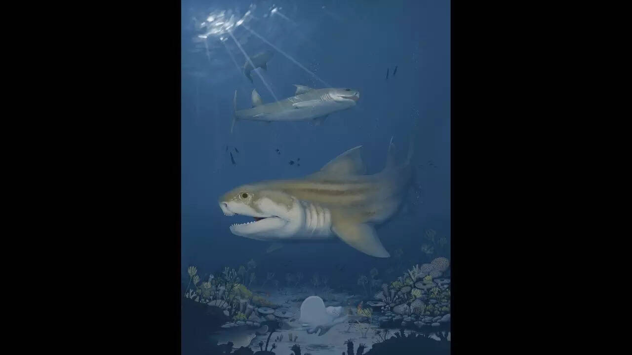 Mammoth cave mystery: Two new sea monsters resurface after 325 million ...