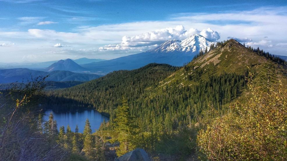 Shasta-Trinity, Six Rivers forests fire restrictions lifted, officials ...