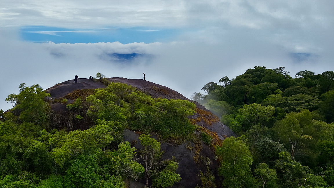 Misty Peaks of Guayana - Remote Jungle Views