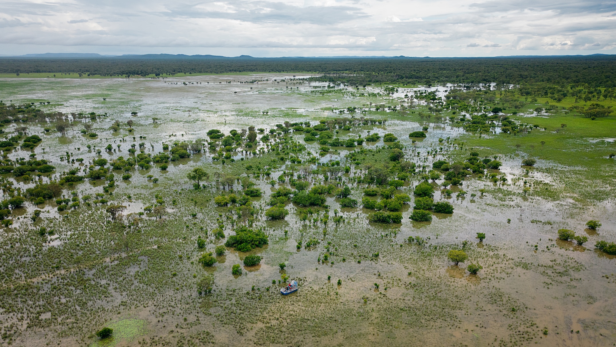 'Complex' brief of evidence after group charged with stealing crocodile ...
