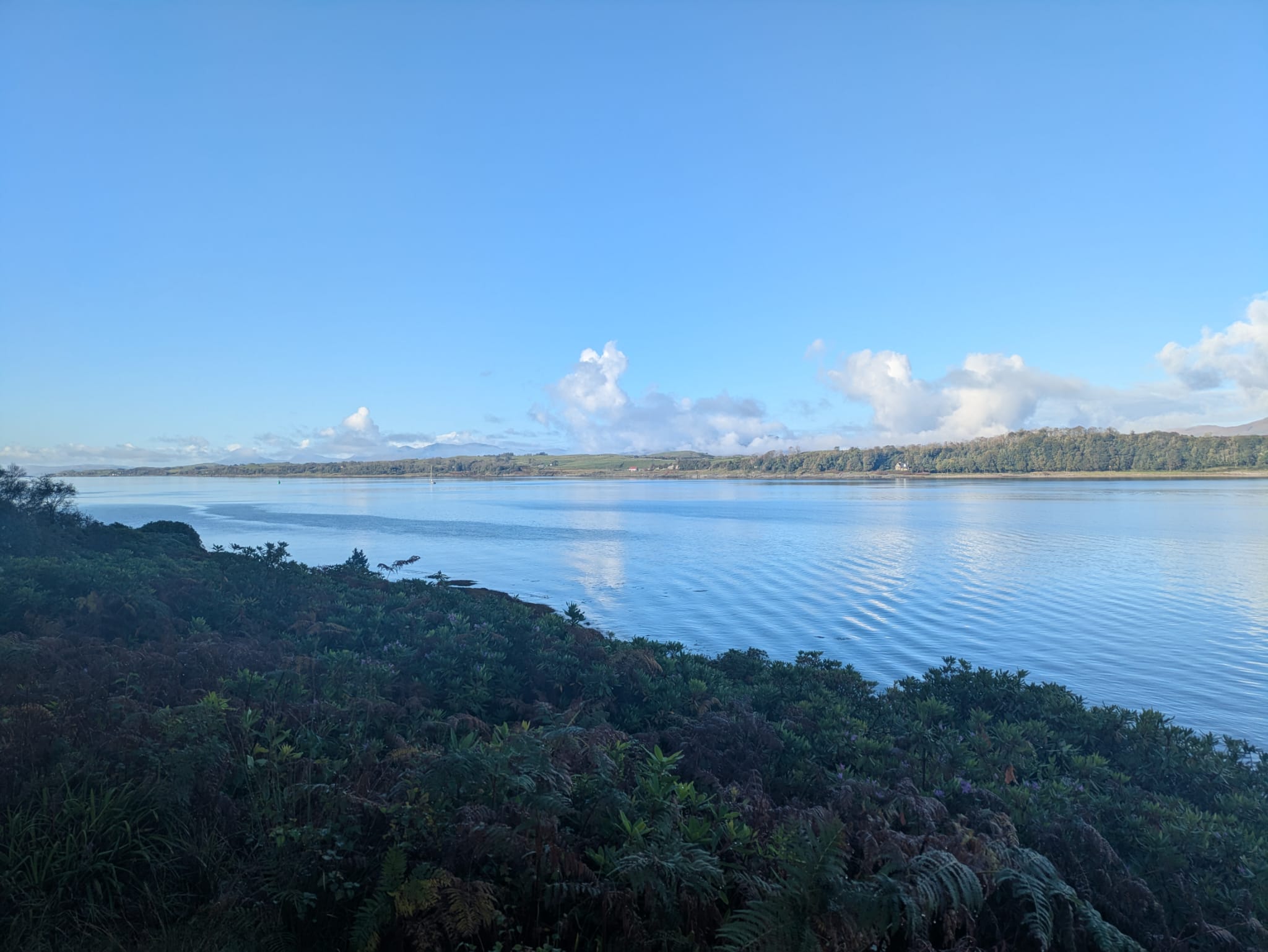 I went on a foraging walk at one of Scotland's most picturesque spots ...