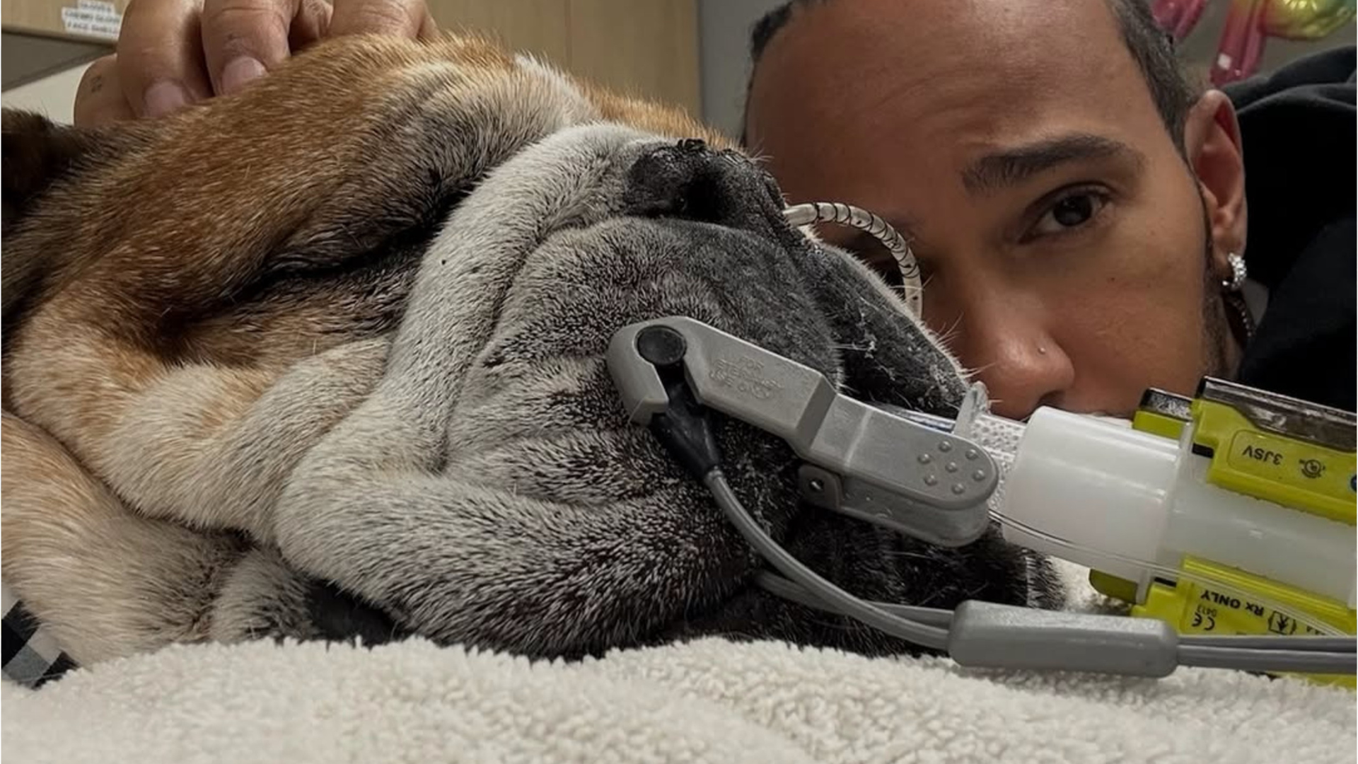 Lewis Hamilton mourning loss of beloved dog Roscoe