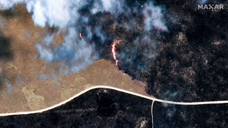 Namibia sends in army to fight devastating wildfire in Etosha game reserve