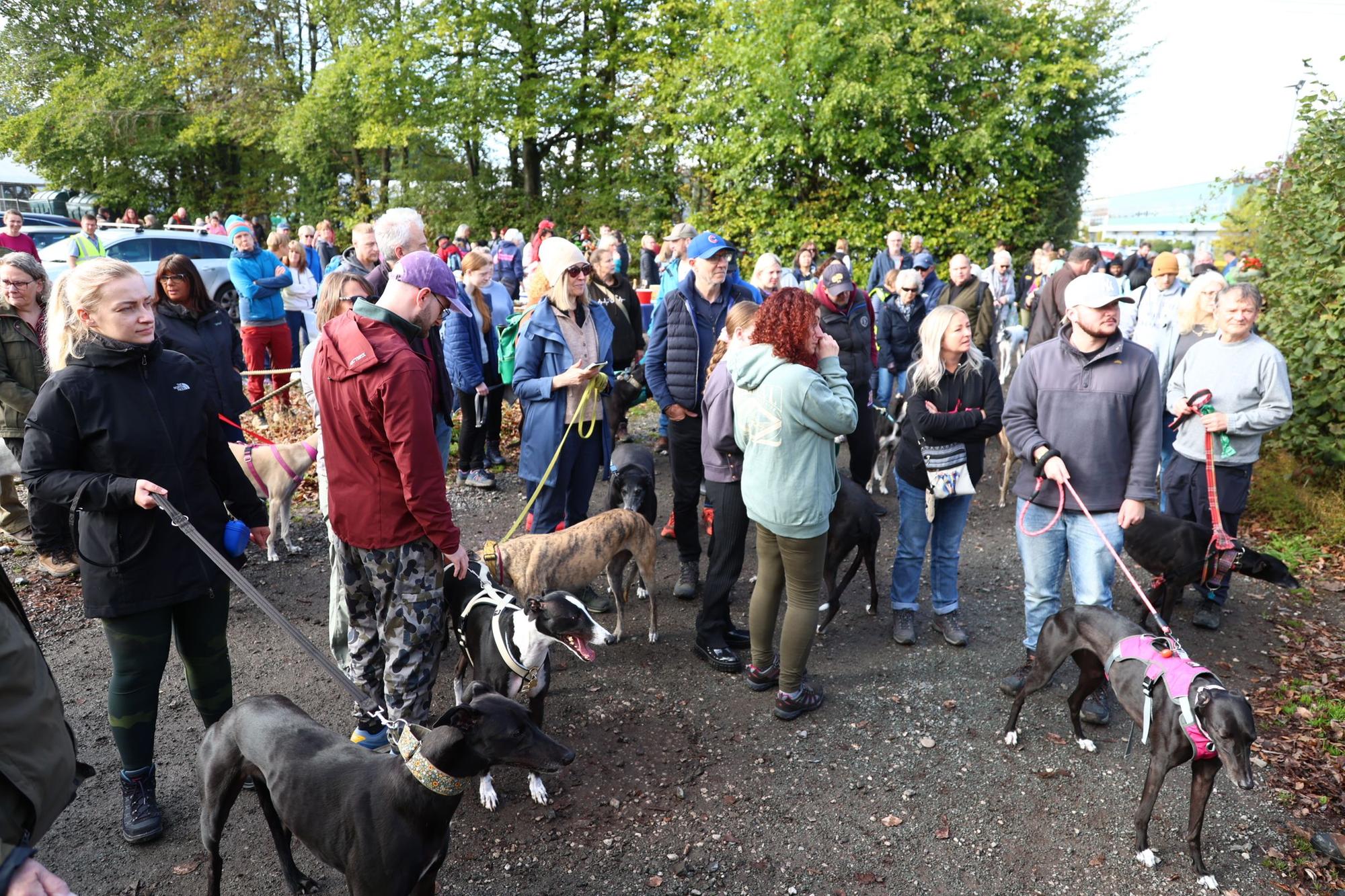 Great Global Greyhound Walk held at Windy Bank Woods