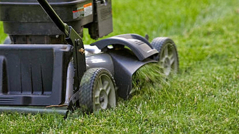 Side Discharge Or Mulch Mowing: How To Determine Which Is Best For Your ...