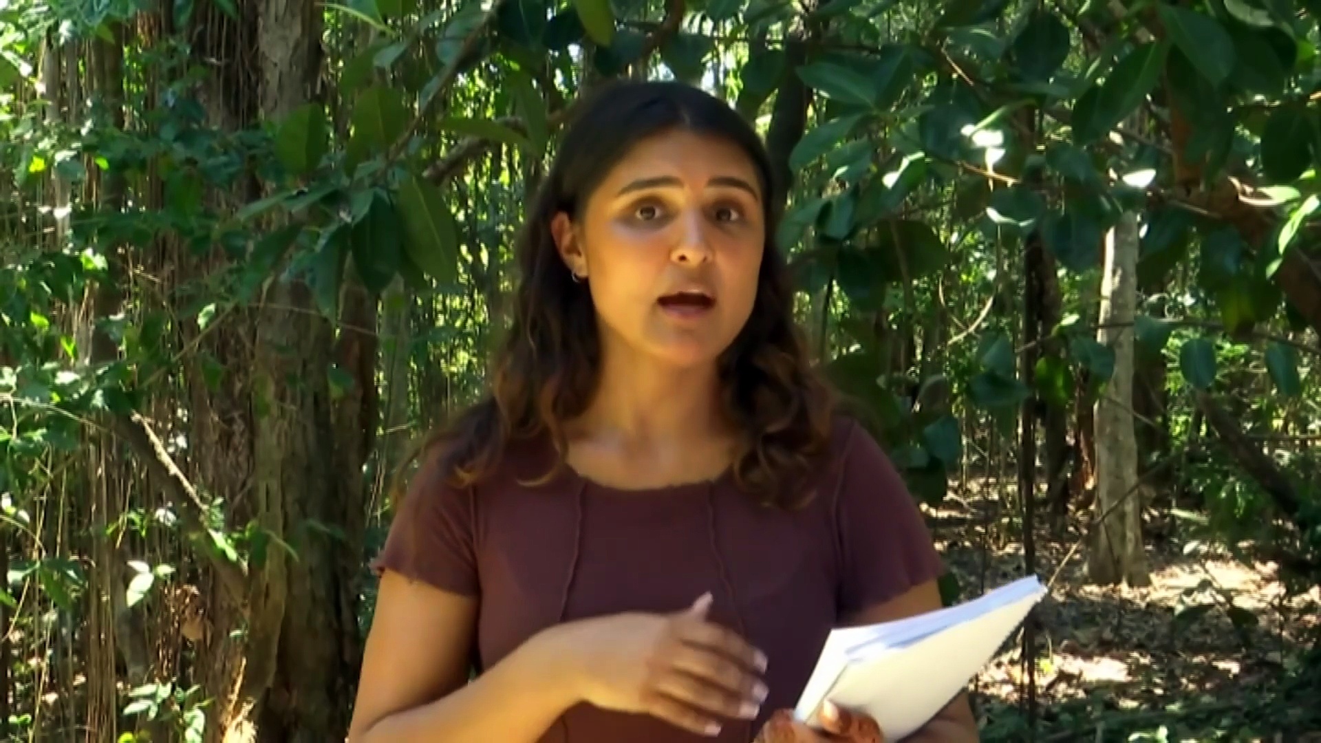 Class action launched against the government over Work for the Dole scheme