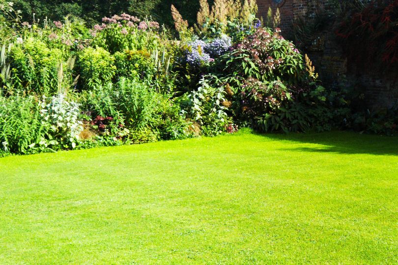 Gardeners urged to sprinkle £1 kitchen staple in gardens in June for ...