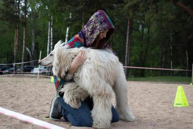 Loving dog wraps its paws around owner for a hug – just like a human