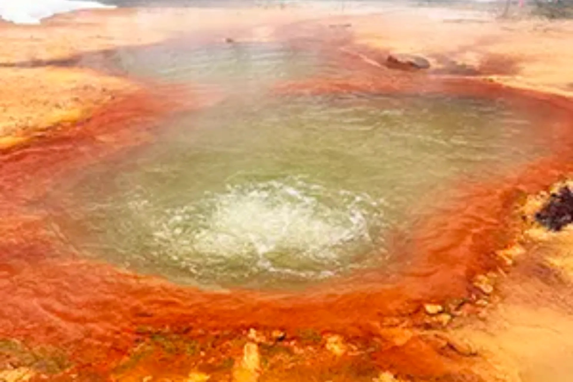 Microbi scoperti in sorgenti termali che riproducono le condizioni ...