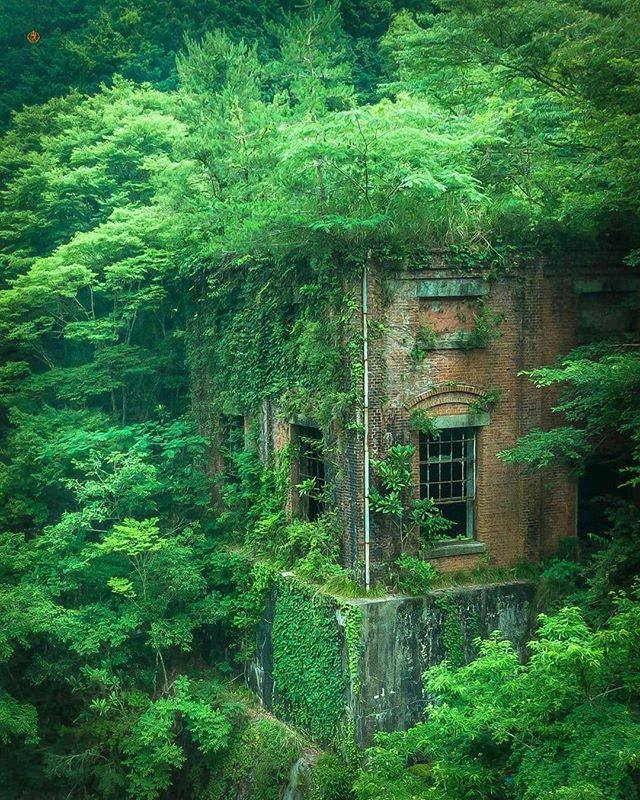 33 Breathtaking Pictures of Abandoned Places Reclaimed by Nature