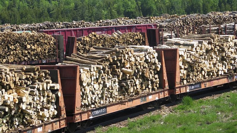 How to make wood great again: Trump slaps tariff on furniture, timber ...