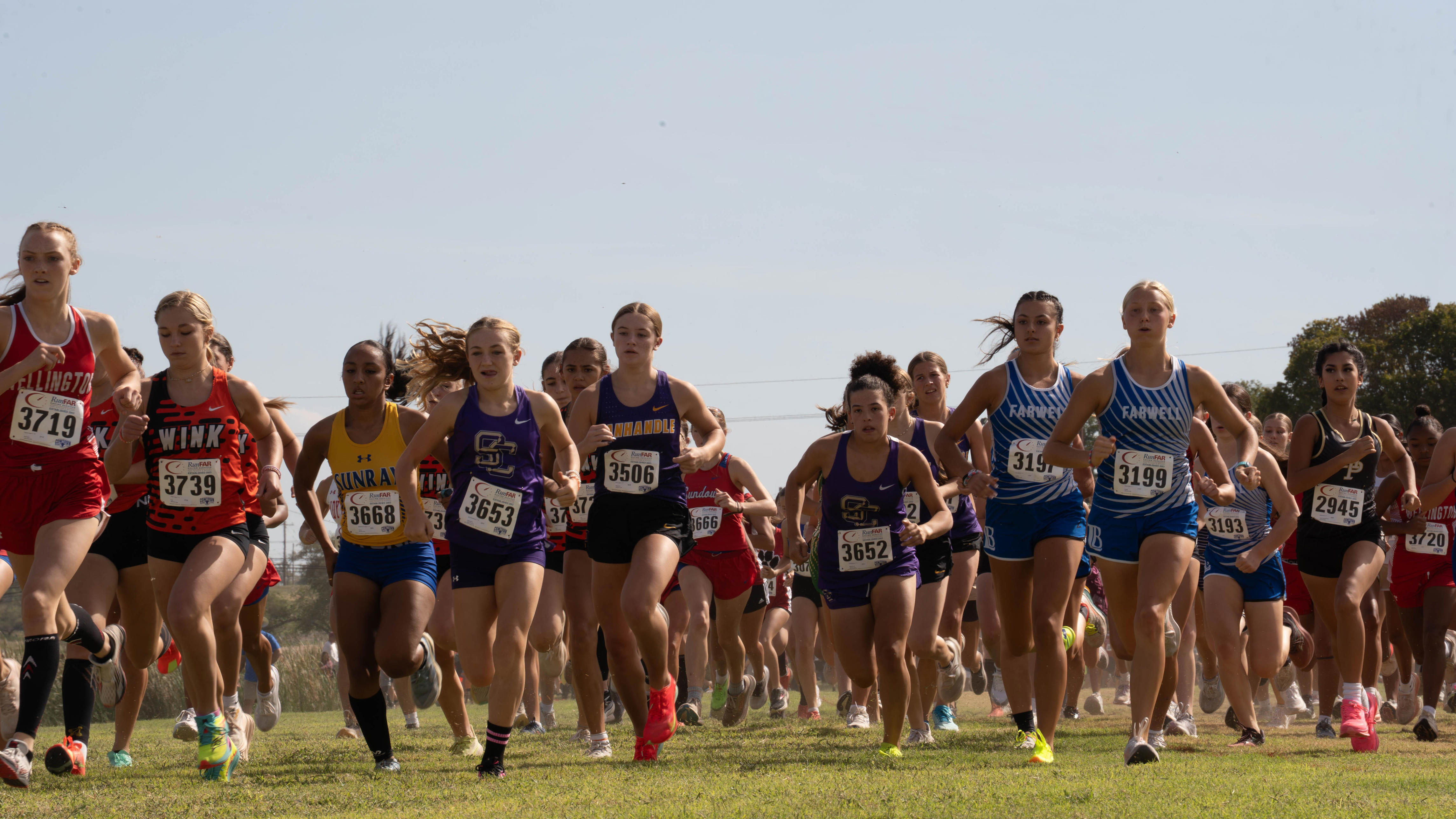 Here's how local West Texas high school cross country athletes ...