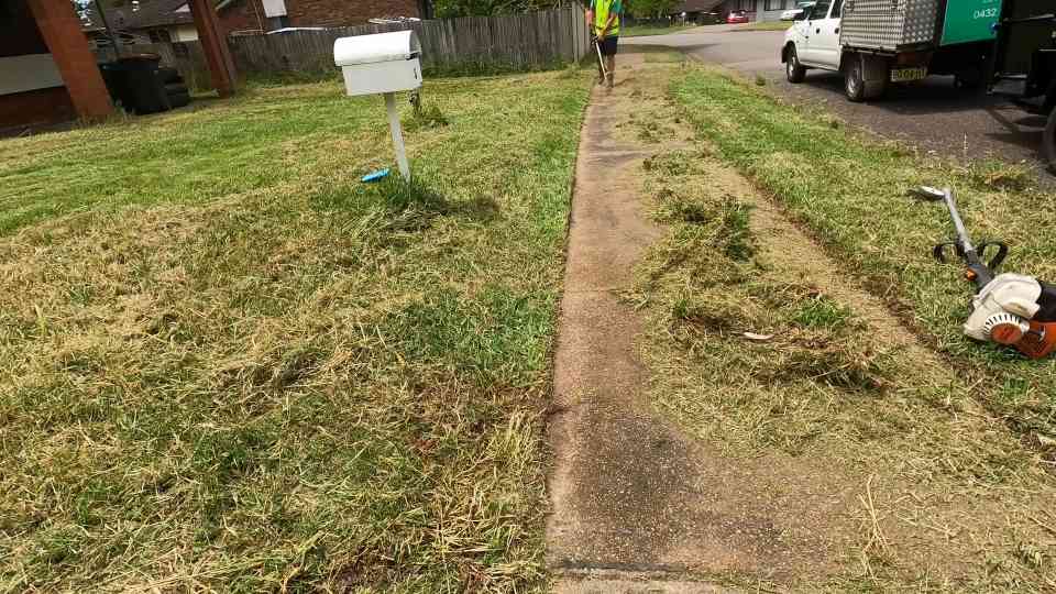 Severely Overgrown Property Restored to Livable Condition
