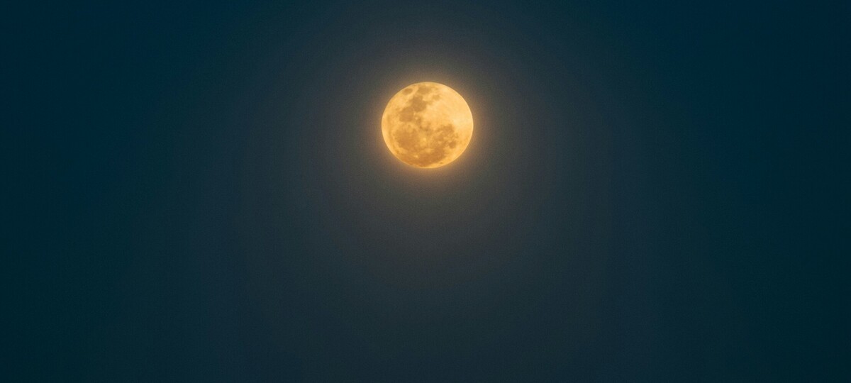 Owner's Manual for a Capricorn Moon