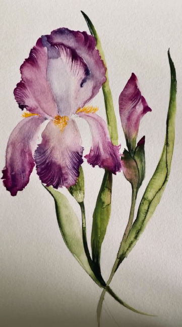 Blooms in Color A Flower Painting Journey