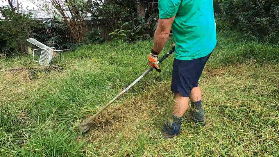 Major Overgrowth Cleared in Full-Scale Residential Clean-Up