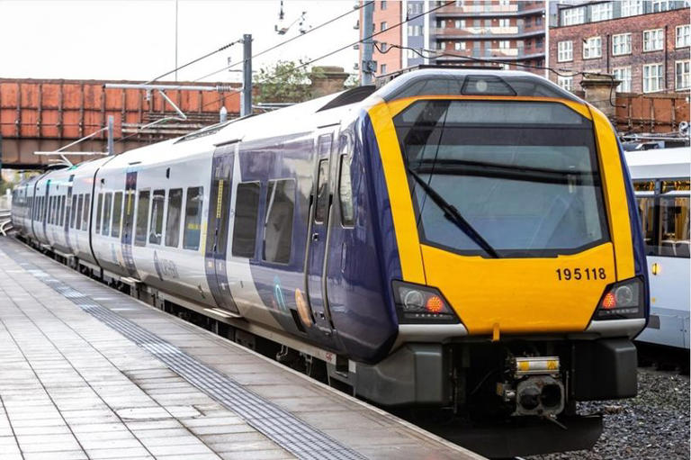 Train chaos at Manchester Piccadilly as fallen tree blocks line during ...
