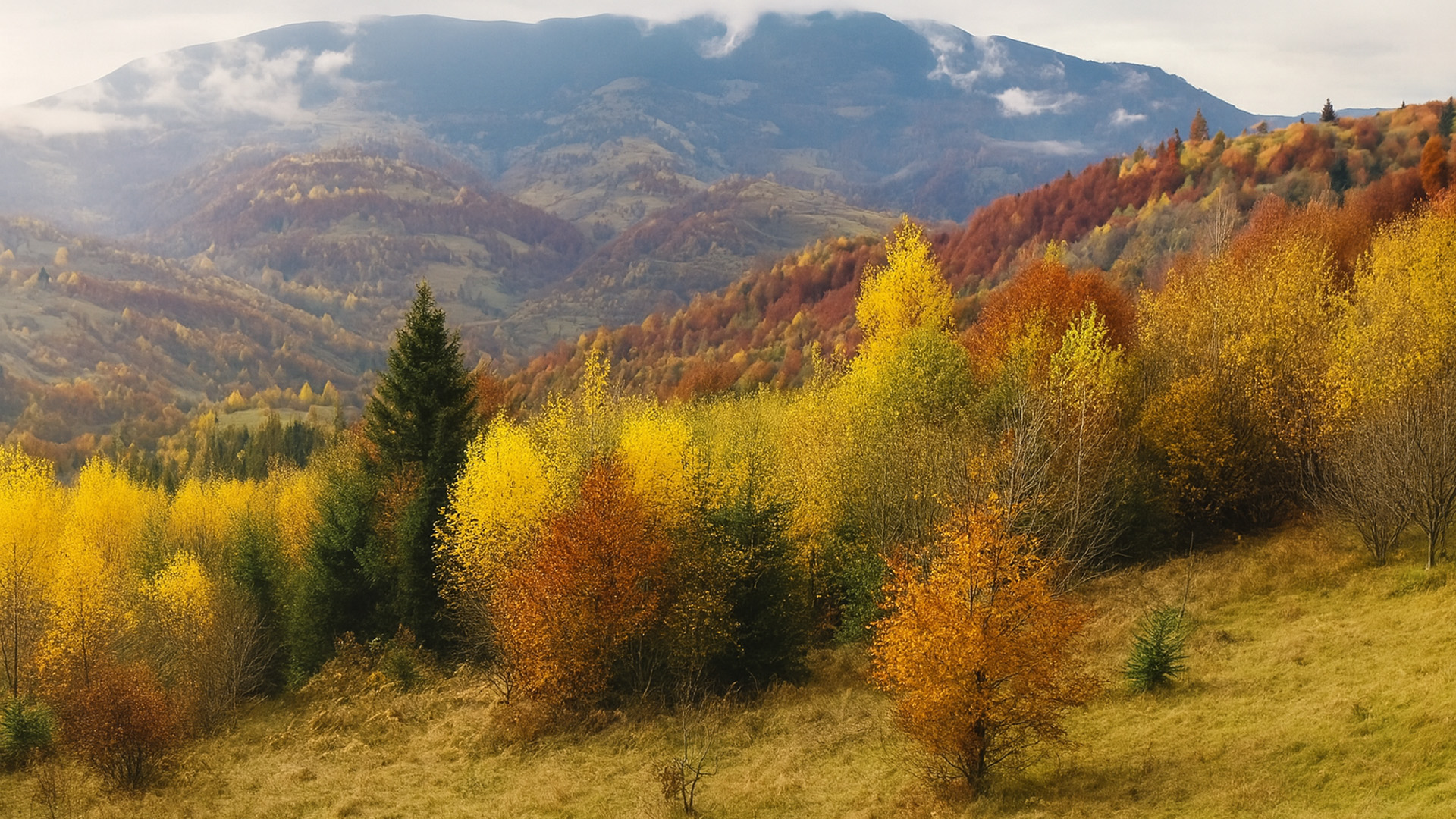 Ukraine – Herbstfarben in den Karpaten in 4K