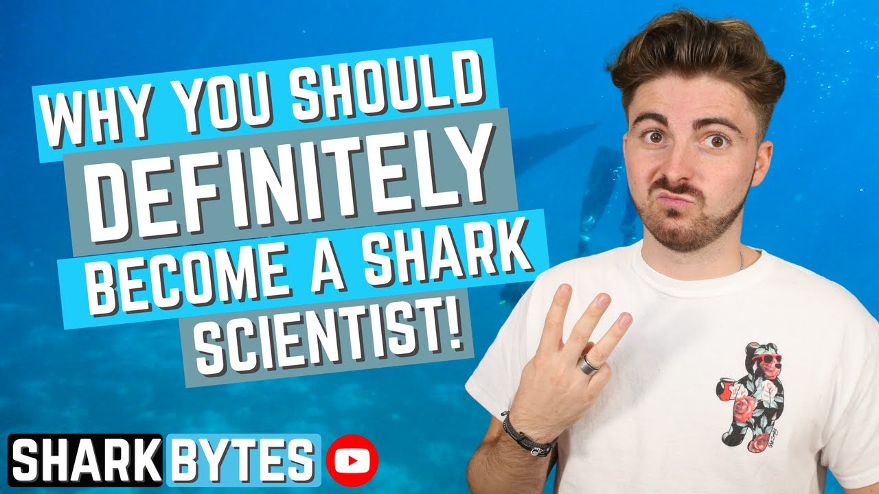 Why I Love Studying Sharks - 3 Amazing Reasons