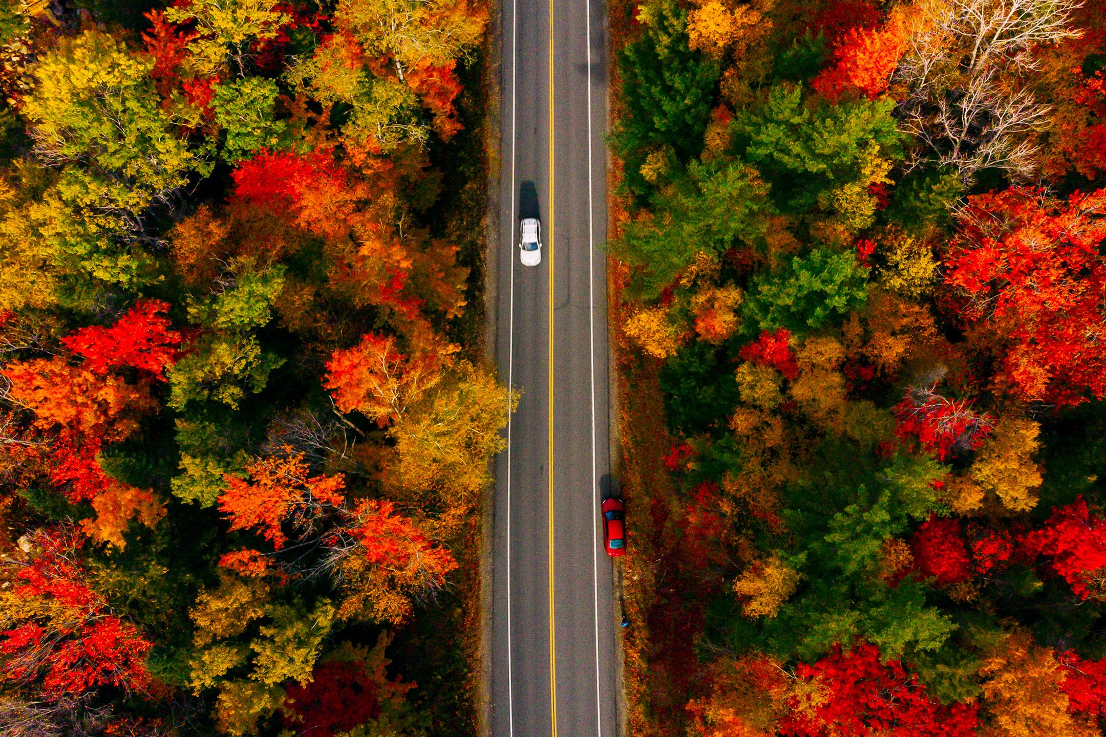 These Scenic Fall Drives Are Better Than The Blue Ridge Parkway